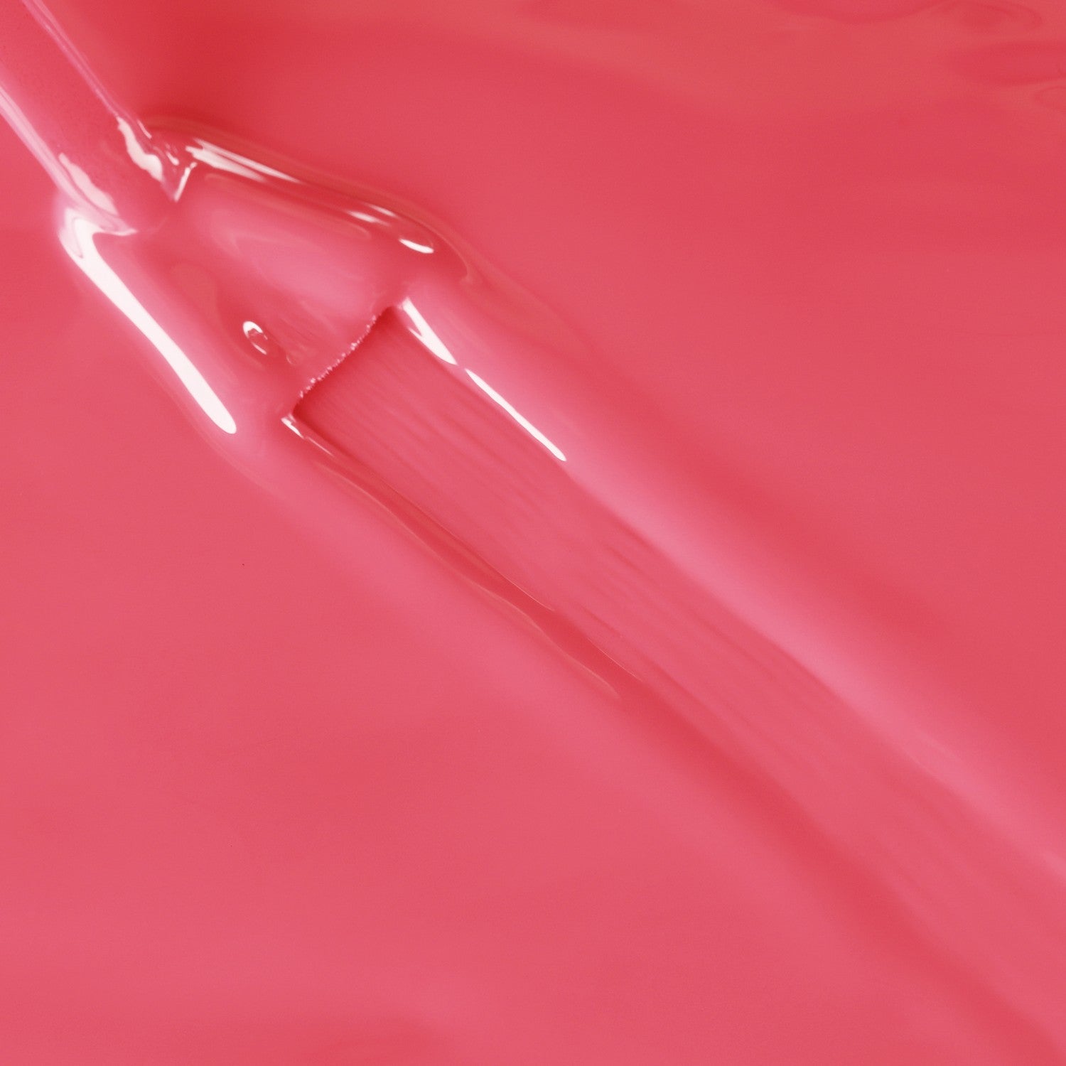 Shop | Classic PLUS | TROPIX – BLUESKY