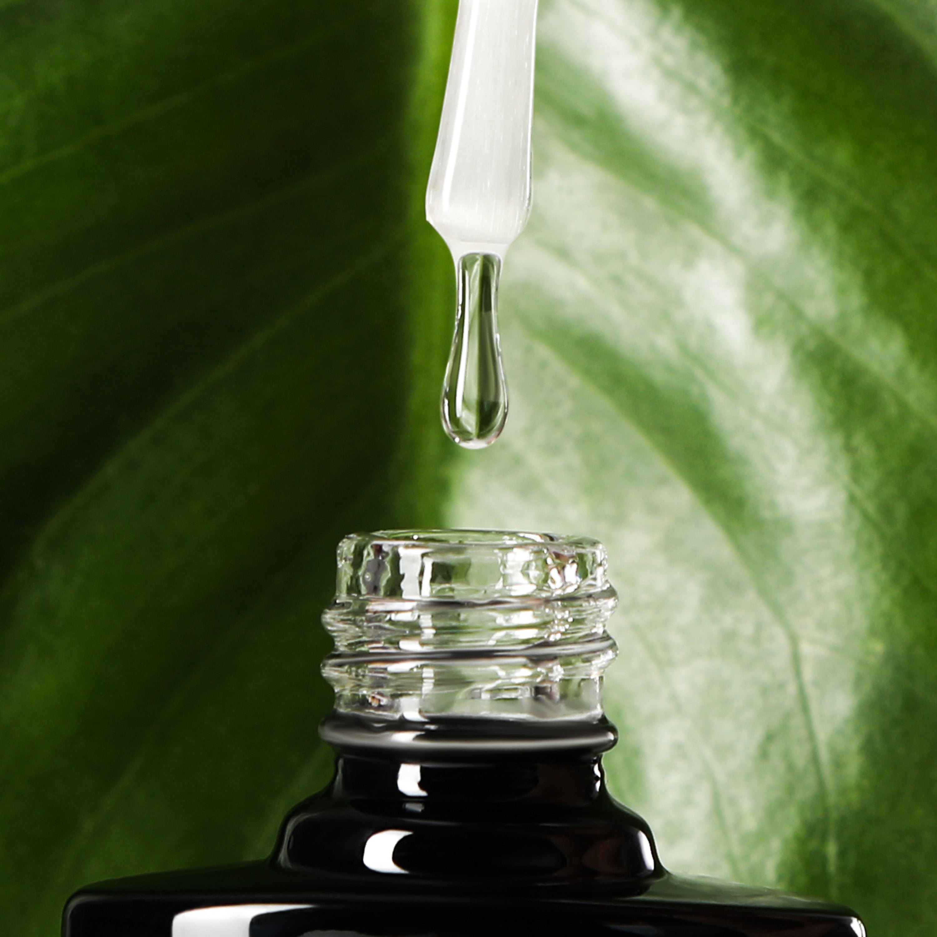 Basics | Base Coat With Plant Protein – BLUESKY