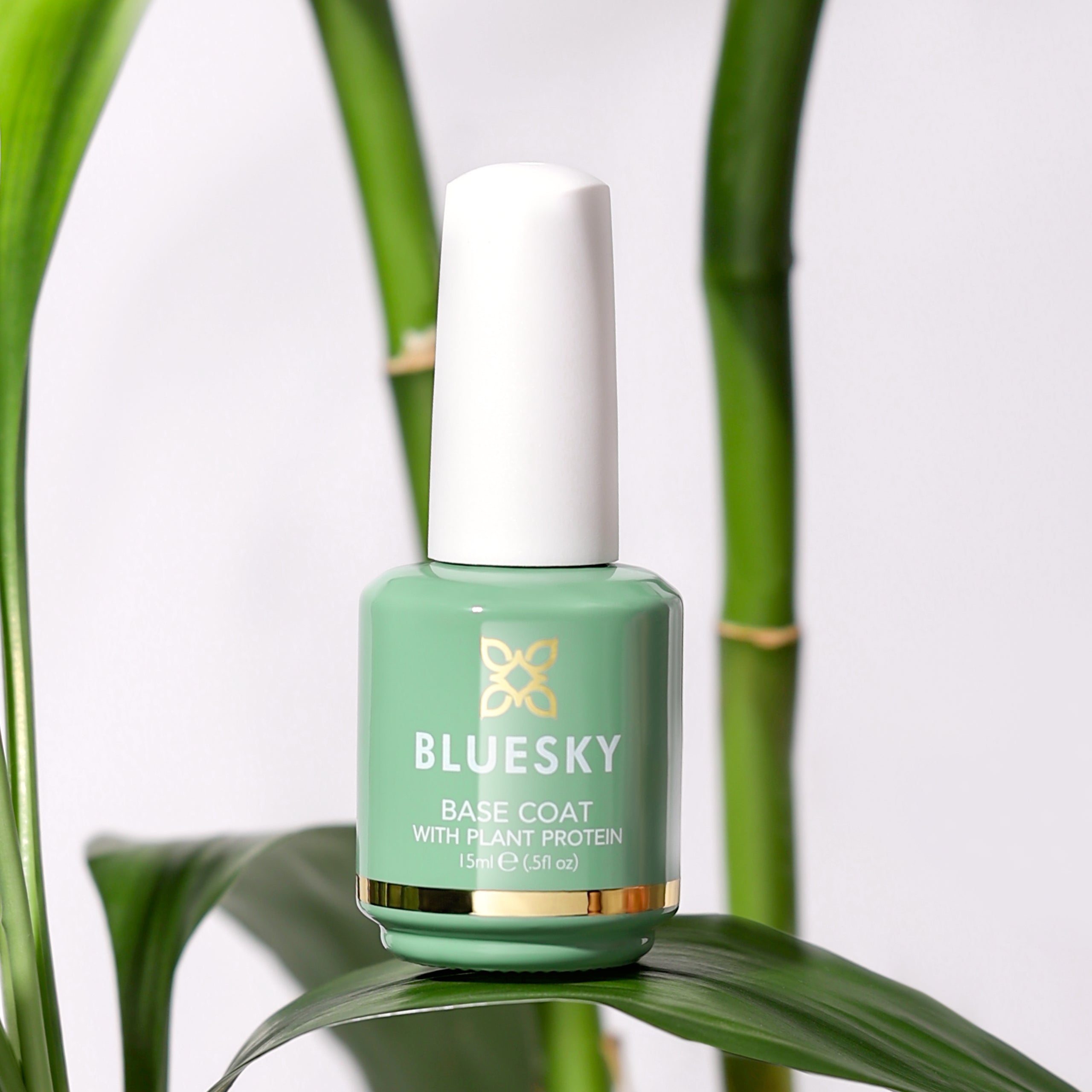 Basics | Base Coat With Plant Protein – BLUESKY
